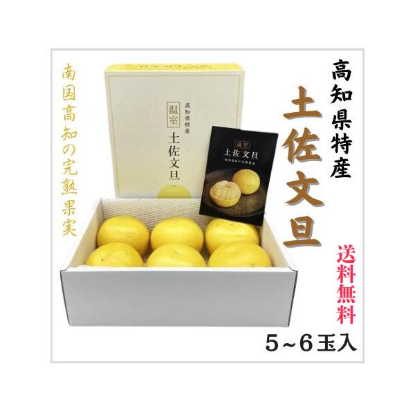 高知県 特産 温室 土佐文旦 ハウス文旦 ぶんたん 【等級：◎】 ５〜６玉入ご家庭用・お歳暮にも最適土佐で生まれ育った金色に輝く果実冬の寒さや台風の被害から守り、品質の良い土佐文旦を作るために始まったのが温室(ハウス)栽培です。温室栽培の土...