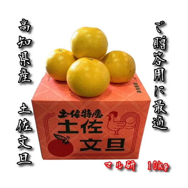 【ご贈答用に最適・ご家庭用にも】高知県産 土佐文旦(ぶんたん) マル研 大玉４Lサイズ 約10kg地元高知で絶大なる信頼を誇る、土佐文旦発祥の地「土佐市宮ノ内」の出荷組合、通称「丸研（マルケン）」の土佐文旦です。鮮やかな黄色の光沢ある果皮、...