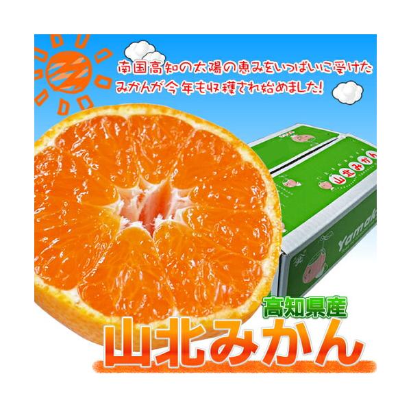 高知県産　山北みかん 大玉限定　2.5kg数量：約15〜35玉前後　重さ：約2.5kg産地：高知県　山北サイズ：大玉限定等級：訳あり/早生(オキツ系)配送：クロネコヤマト（常温便）送料：こちらの送料は2箱購入で無料ですラッピング不可　　お熨...