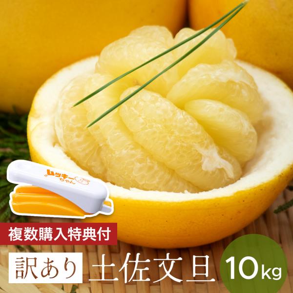 【高知県産】　訳あり露地栽培　土佐文旦10kg●重量：10kg  サイズ・玉数はおまかせとなります●保存方法：常温保存●賞味期限：約2〜4週間●配送：ヤマト運輸（常温便）●送料：こちらの送料は無料です(北海道・沖縄・離島へお届けの場合、別途...