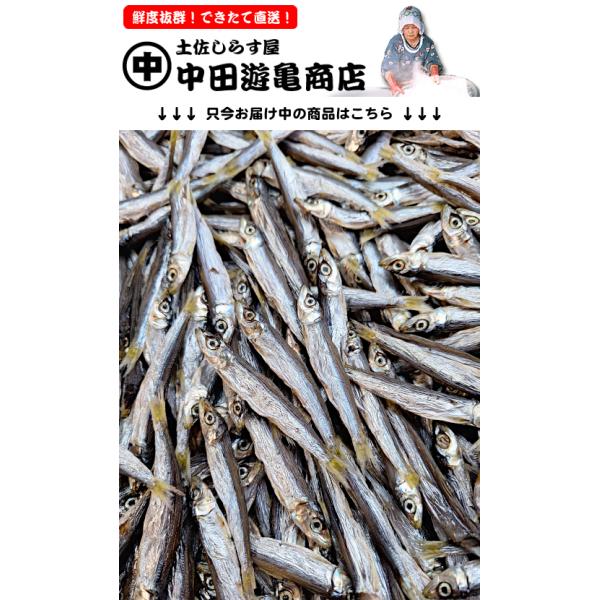 これぞ土佐の干物、高知の自慢がいっぱいに詰まった名物うるめいわし干しです。高知人に最も愛されている中〜上乾燥「ぼっちり干し」仕上げ。焼くと軟らか過ぎず硬過ぎず、丁度良い食感に。湧き出る旨味をご堪能ください。「土干し」と呼ばれる極小サイズ、フ...