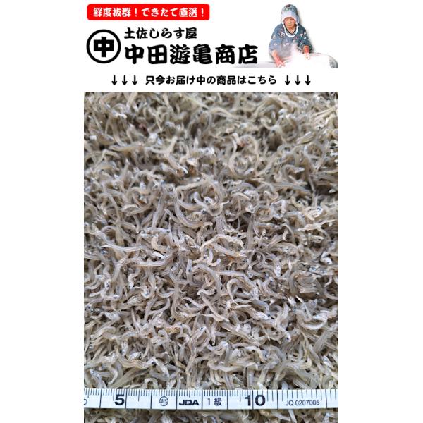 当店の定番人気、上干ちりめんじゃこです。天日干しで旨味がぎゅっと凝縮、おむすび・チャーハン・菜飯・サラダ・大根おろしなどに最適です。※只今お届け中の商品写真・サイズは掲載写真よりご確認いただけます。釜揚げしらすを程好い硬さに天日干し、適度な...