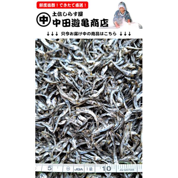 おつまみおじゃこの定番「かえりちりめんじゃこ」です。不快な苦味の無い、旨味をしっかり感じられる丁度良いサイズです。イワシの美味しさが堪能できるかえりちりめんじゃこ。噛むほどに広がるコクのある濃厚な旨味と風味が特徴です。程よく成長した鰯稚魚を...