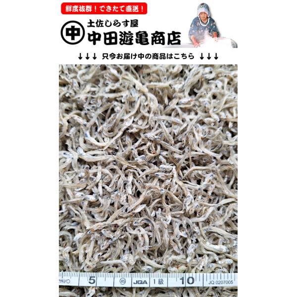 大きさ不揃いの上乾燥ちりめんじゃこです。※只今お届け中の商品写真・サイズは掲載写真よりご確認いただけます。天日干しで旨味がぎゅっと凝縮、おむすび・チャーハン・菜飯・サラダ・大根おろしなどに最適です。【内容量】500g（※別ページにてお得な1...