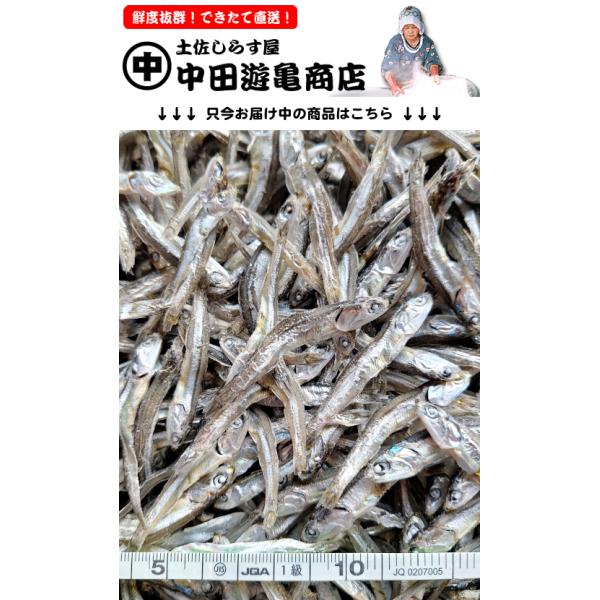 おつまみ・おやつにぴったりな「おつまみおじゃこ」です。甘塩仕立て、硬すぎず軟らかすぎずの天日干し仕上げで、食感良く美味しくお召し上がりいただけます。出来たてで良い香りと風味をお楽しみいただけます。お醤油などをつけて「おつまみ」に。そのままお...
