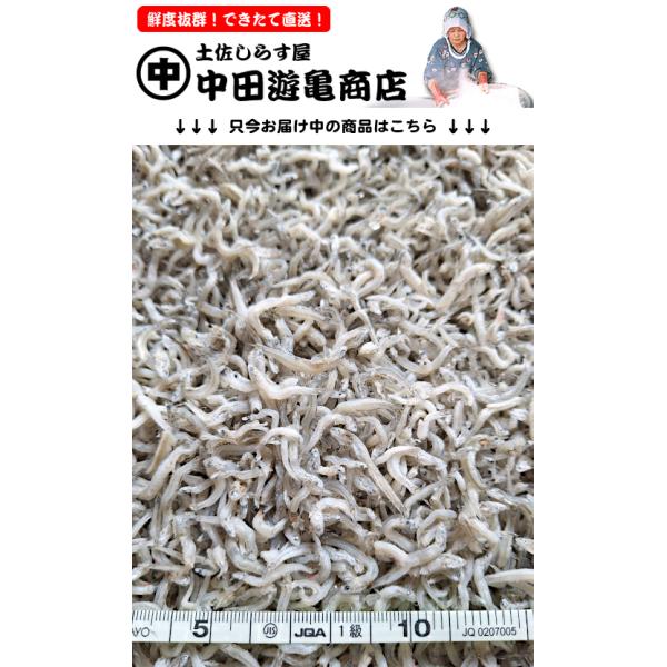 期間限定、しっとり食感の軟らか干しに仕上げたちりめんじゃこです。乾燥具合は釜揚げと上干の中間ほど、口当たり優しい食感となっております。ごはんにのせて土佐流「ちりめん丼」にぴったりです。炊きたてごはんに刻んだ味付け海苔をのせ、ちりめんをたっぷ...