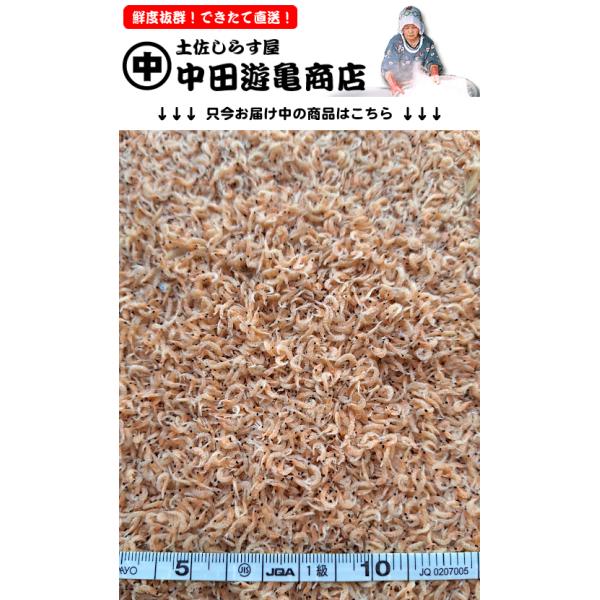 小さな海老を、天日干しでやわらかく乾燥させました。しっとり中乾燥仕上げの干し海老です。そのまま食べるのはもちろん、ふりかけ、チャーハン、卵焼き、お好み焼き、おひたし、サラダ、おむすびなどなど… 色々なお料理にお使いいただけます。火を通すこと...