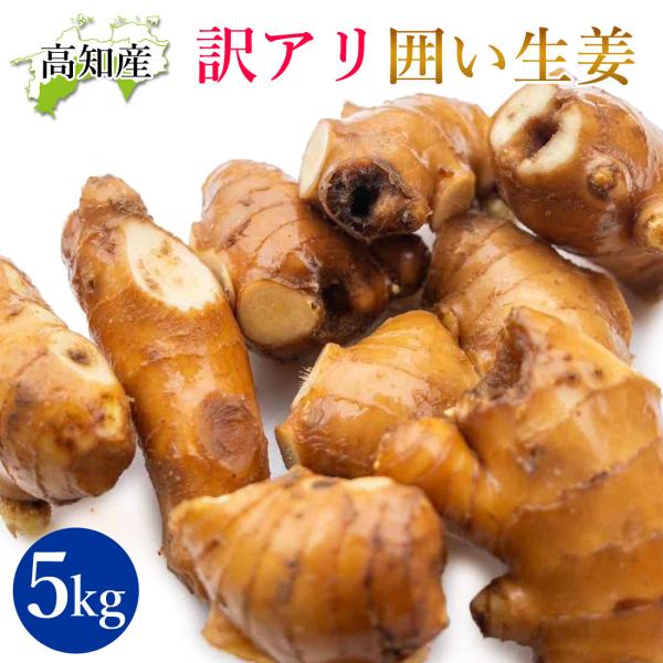 こちらは【訳あり品 5kg】の販売ページです。【体を温める生姜パワー】生姜の独特な辛みの一部はジンゲロールという成分で、身体がポカポカになるいわゆる血行促進や、発汗作用、体内浄化、冷え性の改善など、さまざまな健康パワーが期待できると言われて...