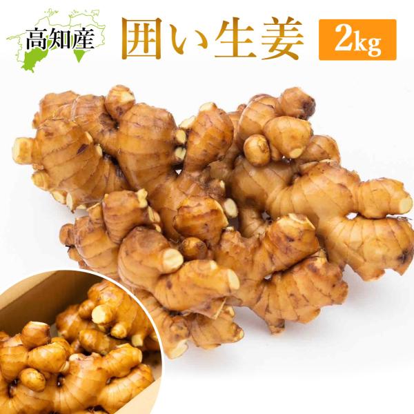 国産、高知の生姜を全国にお届けいたします！生姜の原産地は高温多湿の熱帯地方だと言われていますが、私たち「龍馬のふるさと」高知県は、日照時間と降水量が国内でもトップクラス！生姜が好む高温多湿な環境に近く、生姜の生産に最適なんです！【体を温める...