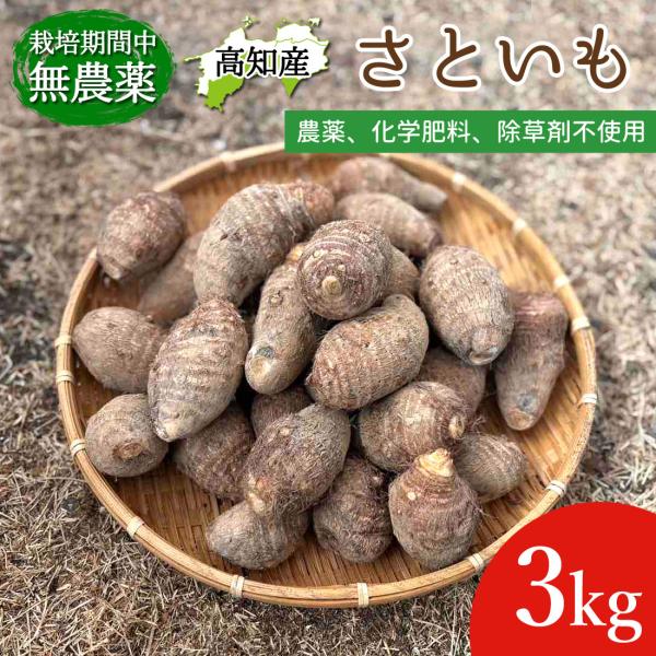 「みよしファーム」さんは高知を代表する生姜、ゴボウ、かぼちゃ、里芋、お米といった品種をすべて無農薬や有機JAS栽培で育てられています。【みよしファームが育てた「里芋」】里芋には赤芽芋と白芽芋があり、こちらの里芋は「白芽芋（しろめいも）」です...