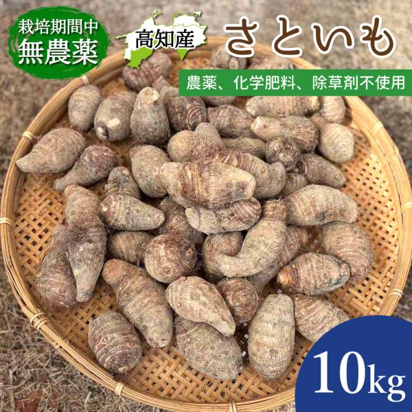 「みよしファーム」さんは高知を代表する生姜、ゴボウ、かぼちゃ、里芋、お米といった品種をすべて無農薬や有機JAS栽培で育てられています。【みよしファームが育てた「里芋」】里芋には赤芽芋と白芽芋があり、こちらの里芋は「白芽芋（しろめいも）」です...