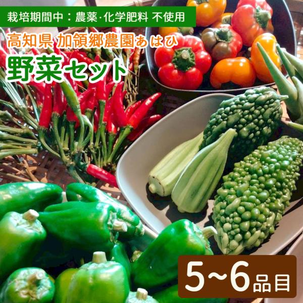 【高知県の加領郷（かりょうごう）で育てた無農薬野菜】四国の端っこ室戸岬手前に山と川と海に恵まれた小さな漁師町、加領郷（かりょうごう）地区がございます。ほぼ一年中広い太平洋からの潮風を受け空気がとても綺麗！自然豊かな環境に恵まれた加領郷の、さ...