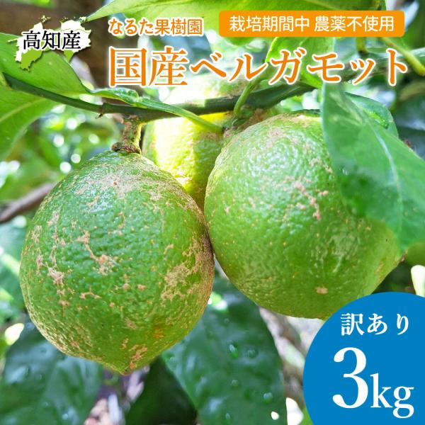 【高知県宿毛（すくも）市で育ったベルガモット】ベルガモットはイタリア原産とするとても香りの強い柑橘で、そのまま食用にするのには不向きですが、お料理や飲料の香り付けとして幅広くご使用頂けます。薄くスライスして氷水や炭酸水に浮かべれば自家製のシ...