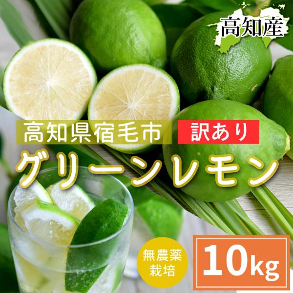 高知県宿毛市の柑橘農家さんが農薬を使用せず大事に育てたレモンです。無農薬・防腐剤・ワックス等は使用していないため、皮も捨てずにまるごとお楽しみいただけます。訳あり品につき、果皮にキズなどが見られますが、お味に違いはございません。発送される時...