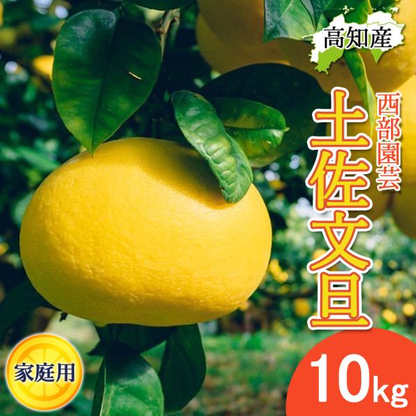 【宿毛の美味しい土佐文旦】温暖な気候と海風が適度な潮風を運び、美味しい柑橘類を育むことから、文旦の出荷日本一の高知県。「西部園芸」さんの文旦は、宿毛市の宇須々木地区で、黒潮運ぶ潮風と南国土佐の太陽をいっぱい浴びながら宿毛文旦を育てられていま...