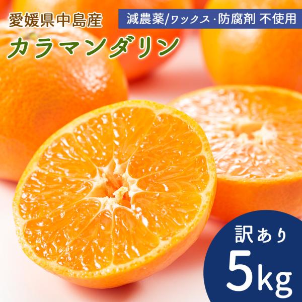 【完熟春みかん(カラマンダリン)について】外観は温州みかんによく似ており、濃厚な甘さと独特な芳香が特徴です。他の柑橘に比べ、最も樹上に成っている期間が長く、4月の収穫の時期には翌年の実になる花が既に咲いています。そのため、味が熟成し濃厚な甘...
