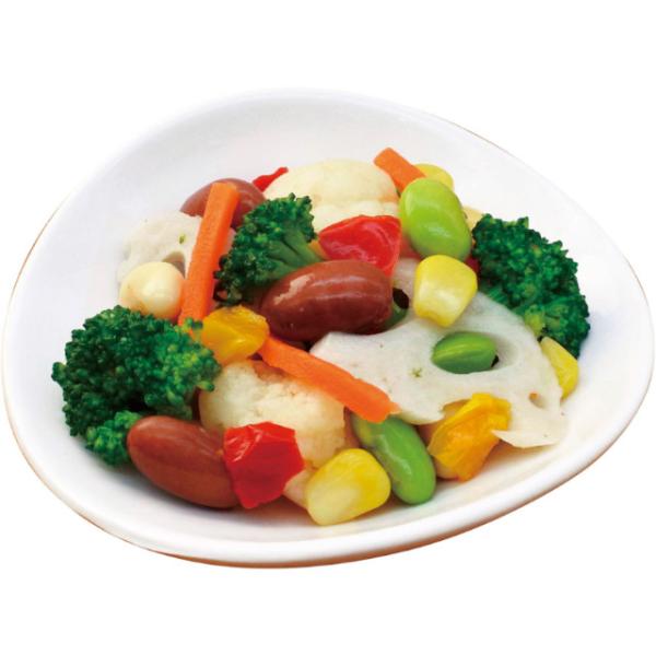 野菜と豆を含む10品目を使用したサラダです。緑黄色野菜を使用しており、彩りが鮮やかでサラダや付け合わせにピッタリです。◇最終加工地：日本(三重)◇主要原材料：ブロッコリー(エクアドル産)、大豆、カリフラワー、枝豆(大豆)、コーン、金時豆、レ...