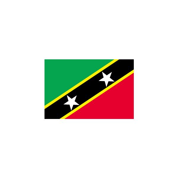 ★納品指定日は、決済時にご指定ください。指定がない場合は発送が遅れる場合がございます。★お急ぎのお客様は当店までお問い合わせくださいませ。[基本仕様]●国旗サイズ：90×135ｃｍ●材質：テトロン（トロピカル）●縫製：四方ミシン縫製・白レザ...