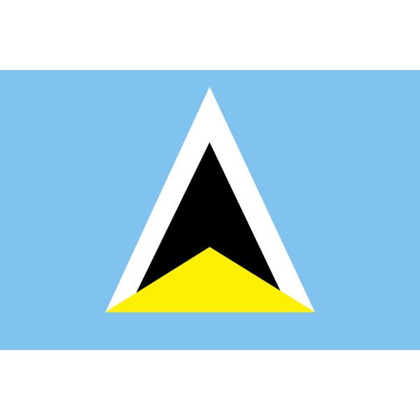 ★納品指定日は、決済時にご指定ください。指定がない場合は発送が遅れる場合がございます。★お急ぎのお客様は当店までお問い合わせくださいませ。[基本仕様]●国旗サイズ：90×135ｃｍ●材質：テトロン（トロピカル）●縫製：四方ミシン縫製・白レザ...