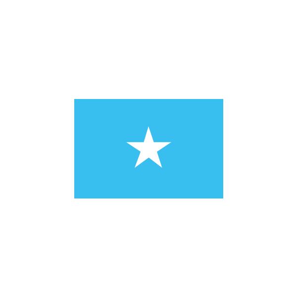 ★納品指定日は、決済時にご指定ください。指定がない場合は発送が遅れる場合がございます。★お急ぎのお客様は当店までお問い合わせくださいませ。[基本仕様]●国旗サイズ：90×135ｃｍ●材質：テトロン（トロピカル）●縫製：四方ミシン縫製・白レザ...