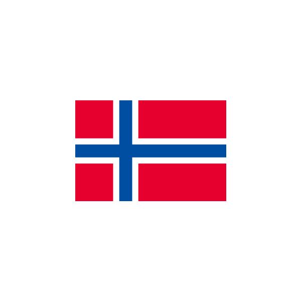 ★納品指定日は、決済時にご指定ください。指定がない場合は発送が遅れる場合がございます。★お急ぎのお客様は当店までお問い合わせくださいませ。[基本仕様]●国旗サイズ：90×135ｃｍ●材質：テトロン（トロピカル）●縫製：四方ミシン縫製・白レザ...