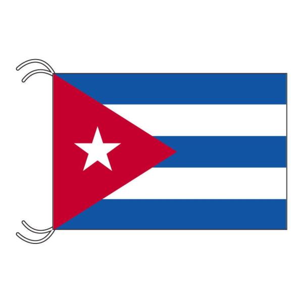 【仕様】サイズ：45×67.5cｍ素 材：テトロントロピカル（ポリエステル100％）仕上げ：ヒモ2か所、四方ヒートカット加工PP袋入り