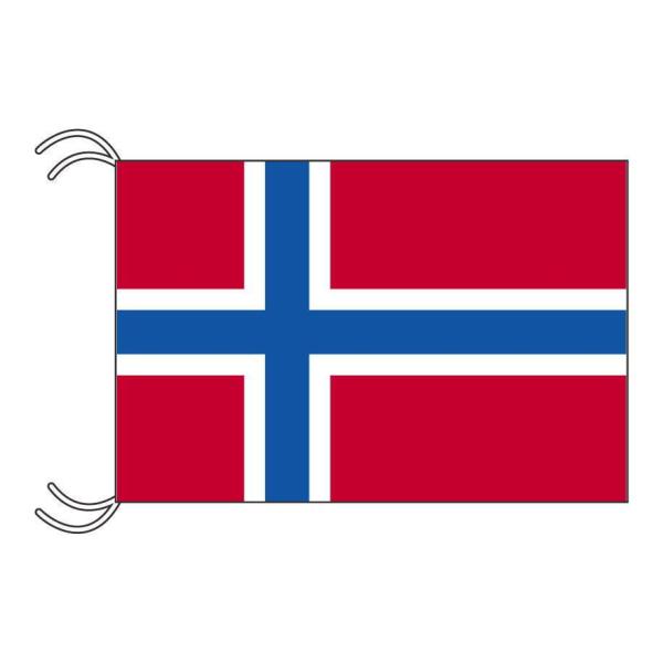 【仕様】サイズ：45×67.5cｍ素 材：テトロントロピカル（ポリエステル100％）仕上げ：ヒモ2か所、四方ヒートカット加工PP袋入り