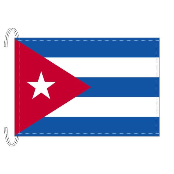 [基本仕様]●旗サイズ：34×50cm●材質：テトロントロピカル●縫製：四方をミシンで補強縫製してあります。２ヶ所紐付き