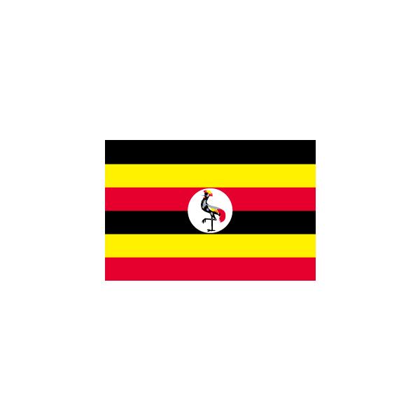 ★納品指定日は、決済時にご指定ください。指定がない場合は発送が遅れる場合がございます。★お急ぎのお客様は当店までお問い合わせくださいませ【基本セット】●国旗・サイズ：90×135ｃｍ・材質：テトロン（トロピカル）・縫製：四方ミシン縫製・白レ...