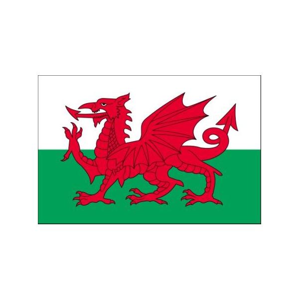 ★納品指定日は、決済時にご指定ください。指定がない場合は発送が遅れる場合がございます。★お急ぎのお客様は当店までお問い合わせくださいませ【基本セット】●国旗・サイズ：90×135ｃｍ・材質：テトロン（トロピカル）・縫製：四方ミシン縫製・白レ...