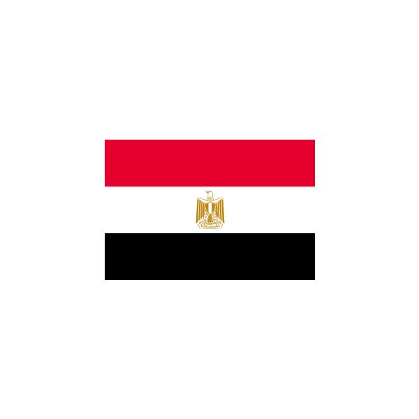 ★納品指定日は、決済時にご指定ください。指定がない場合は発送が遅れる場合がございます。★お急ぎのお客様は当店までお問い合わせくださいませ【基本セット】●国旗・サイズ：90×135ｃｍ・材質：テトロン（トロピカル）・縫製：四方ミシン縫製・白レ...