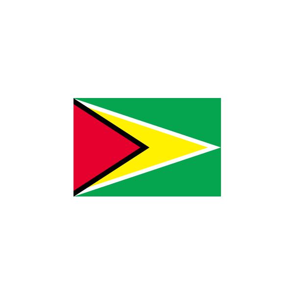 ★納品指定日は、決済時にご指定ください。指定がない場合は発送が遅れる場合がございます。★お急ぎのお客様は当店までお問い合わせくださいませ【基本セット】●国旗・サイズ：90×135ｃｍ・材質：テトロン（トロピカル）・縫製：四方ミシン縫製・白レ...