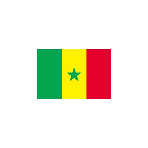 ★納品指定日は、決済時にご指定ください。指定がない場合は発送が遅れる場合がございます。★お急ぎのお客様は当店までお問い合わせくださいませ【基本セット】●国旗・サイズ：90×135ｃｍ・材質：テトロン（トロピカル）・縫製：四方ミシン縫製・白レ...