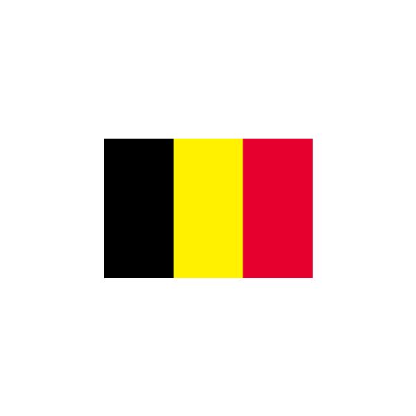 ★納品指定日は、決済時にご指定ください。指定がない場合は発送が遅れる場合がございます。★お急ぎのお客様は当店までお問い合わせくださいませ【基本セット】●国旗・サイズ：90×135ｃｍ・材質：テトロン（トロピカル）・縫製：四方ミシン縫製・白レ...