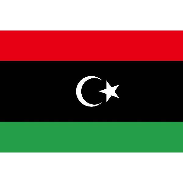 ★納品指定日は、決済時にご指定ください。指定がない場合は発送が遅れる場合がございます。★お急ぎのお客様は当店までお問い合わせくださいませ【基本セット】●国旗・サイズ：90×135ｃｍ・材質：テトロン（トロピカル）・縫製：四方ミシン縫製・白レ...