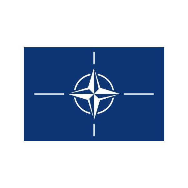 ★納品指定日は、決済時にご指定ください。指定がない場合は発送が遅れる場合がございます。★お急ぎのお客様は当店までお問い合わせくださいませ【基本セット】●国旗・サイズ：90×135ｃｍ・材質：テトロン（トロピカル）・縫製：四方ミシン縫製・白レ...