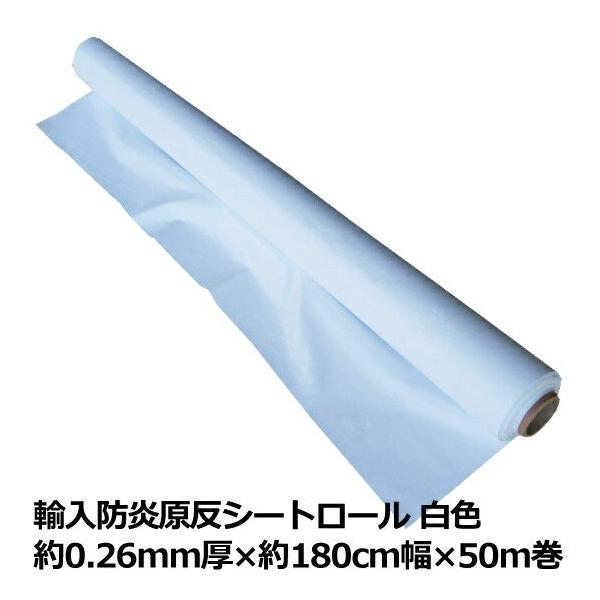 【ご注文前に必ずご確認ください】●北海道・沖縄・離島宛の納品は承っておりません。●法人様宛限定商品です。　送り先に「法人名・屋号」のご明記必須です。●他商品との同梱はできません。●運送便・配達日時指定はできません。防炎シートのエコノミータイ...