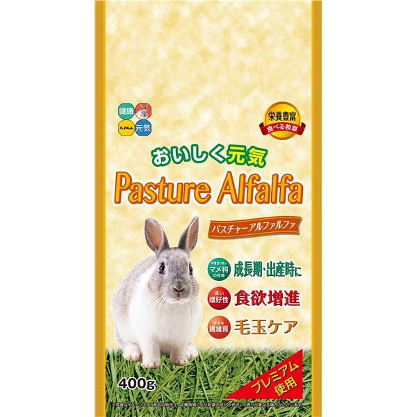 【商品名】 （まとめ） パスチャーアルファルファ 400g 【×6セット】 （ペット用品） 【ジャンル・特徴】 栄養豊富で、繊維質も多いので、うさぎ、モルモット、チンチラなどの草食小動物の発育・健康維持に役立ちます。