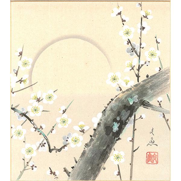 サイズ・色紙寸法：24.2X27.2cm商品説明・メーカーに在庫がある時は、ご入金確認後約１週間で発送します。・お急ぎのかたは「ショップへ相談」からメーカーの在庫状況をお問い合わせください。・このカタログは、2423年1月現在のものです。予...