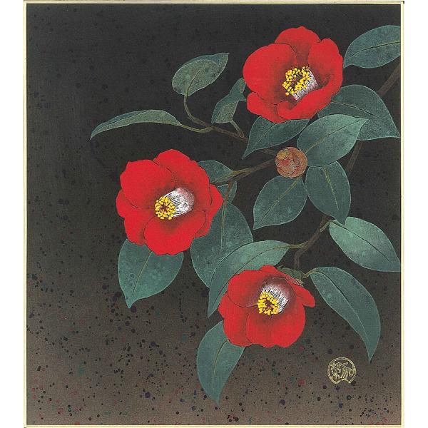 サイズ・色紙寸法：24.2X27.2cm商品説明・メーカーに在庫がある時は、ご入金確認後約１週間で発送します。・お急ぎのかたは「ショップへ相談」からメーカーの在庫状況をお問い合わせください。・このカタログは、2423年1月現在のものです。予...