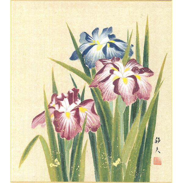 サイズ・色紙寸法：24.2X27.2cm商品説明・メーカーに在庫がある時は、ご入金確認後約１週間で発送します。・お急ぎのかたは「ショップへ相談」からメーカーの在庫状況をお問い合わせください。・このカタログは、2423年1月現在のものです。予...