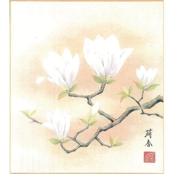 サイズ・色紙寸法：24.2X27.2cm商品説明・メーカーに在庫がある時は、ご入金確認後約１週間で発送します。・お急ぎのかたは「ショップへ相談」からメーカーの在庫状況をお問い合わせください。・このカタログは、2423年1月現在のものです。予...