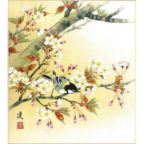 サイズ・色紙寸法：24.2X27.2cm商品説明・メーカーに在庫がある時は、ご入金確認後約１週間で発送します。・お急ぎのかたは「ショップへ相談」からメーカーの在庫状況をお問い合わせください。・このカタログは、2423年1月現在のものです。予...