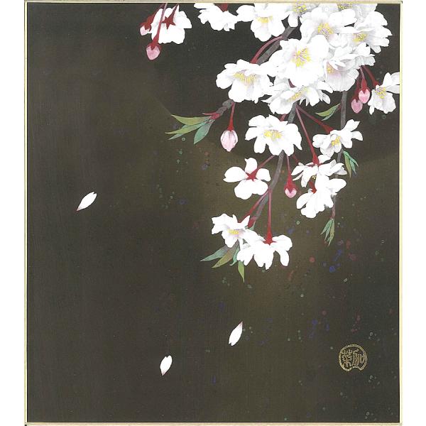 サイズ・色紙寸法：24.2X27.2cm商品説明・メーカーに在庫がある時は、ご入金確認後約１週間で発送します。・お急ぎのかたは「ショップへ相談」からメーカーの在庫状況をお問い合わせください。・このカタログは、2423年1月現在のものです。予...