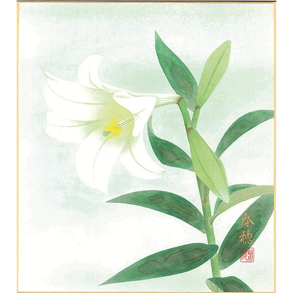 サイズ・色紙寸法：24.2X27.2cm商品説明・メーカーに在庫がある時は、ご入金確認後約１週間で発送します。・お急ぎのかたは「ショップへ相談」からメーカーの在庫状況をお問い合わせください。・このカタログは、2423年1月現在のものです。予...