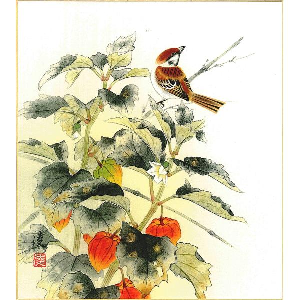 サイズ・色紙寸法：24.2X27.2cm商品説明・メーカーに在庫がある時は、ご入金確認後約１週間で発送します。・お急ぎのかたは「ショップへ相談」からメーカーの在庫状況をお問い合わせください。・このカタログは、2423年1月現在のものです。予...