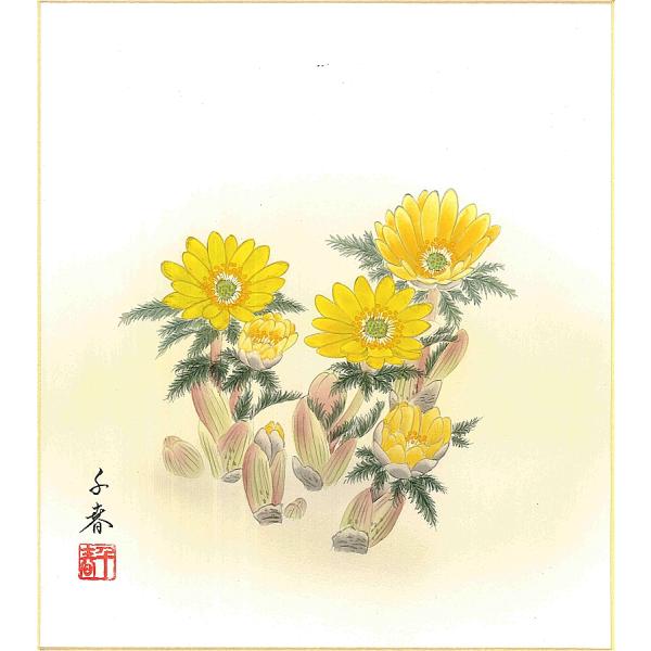 サイズ・色紙寸法：24.2X27.2cm商品説明・メーカーに在庫がある時は、ご入金確認後約１週間で発送します。・お急ぎのかたは「ショップへ相談」からメーカーの在庫状況をお問い合わせください。・このカタログは、2423年1月現在のものです。予...