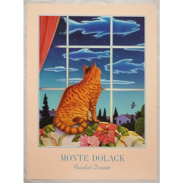 900円 特価 モンタナ州 自然