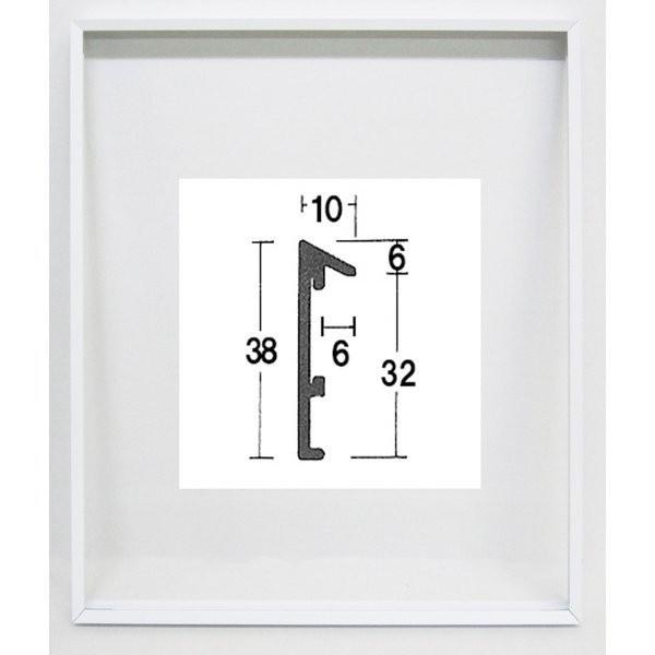 サイズ：F30(910X727mm) P30号(絵寸910X652mm) M30号(絵寸910X606mm) S25号(絵寸803X803mm)仕様：本体のみ。吊り金具(別売)・紐・アクリル・ケース無し色 ホワイト 白別注可 受注生産品