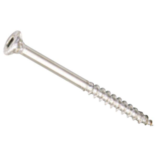 【商品名】 水上 ステンレスウッドデッキビス 75mm パシペート [124本入]